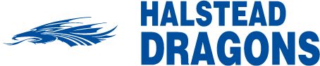 BSN SPORTS Phenom Short Sleeve T-Shirt - HALSTEAD HIGH SCHOOL DRAGONS ...