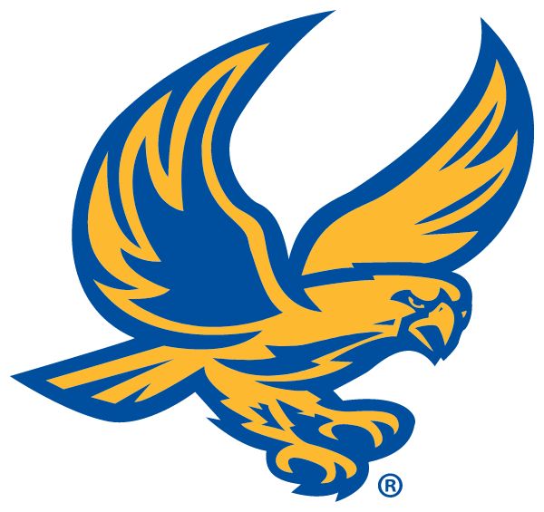 VELMA JACKSON HIGH SCHOOL FALCONS - CAMDEN, Mississippi - Sideline ...